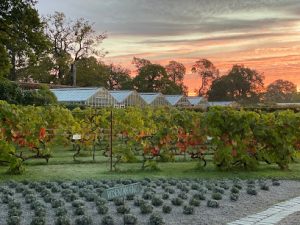 The 16 Best Gardens in Stockholm | Stockholm10